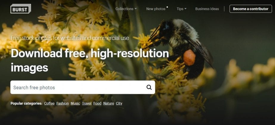 20 Best Websites Like Unsplash For Free Stock Images