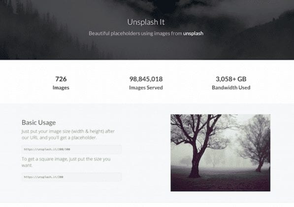 10 Best Shutterstock Alternatives To Get Free Stock Images