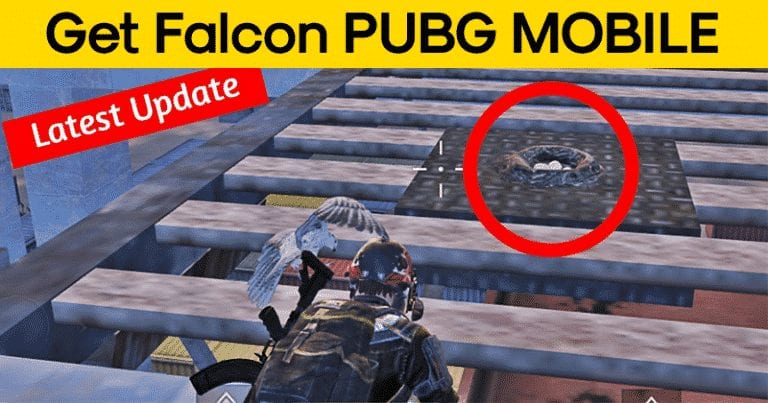 PUBG Mobile Tricks: Secret Locations To Get Pet Companions