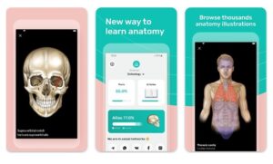 10 Best Human Anatomy Apps for Android in 2023