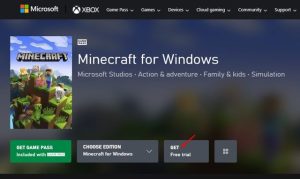 How to Download & Install Minecraft on Windows 11 (2 Methods)