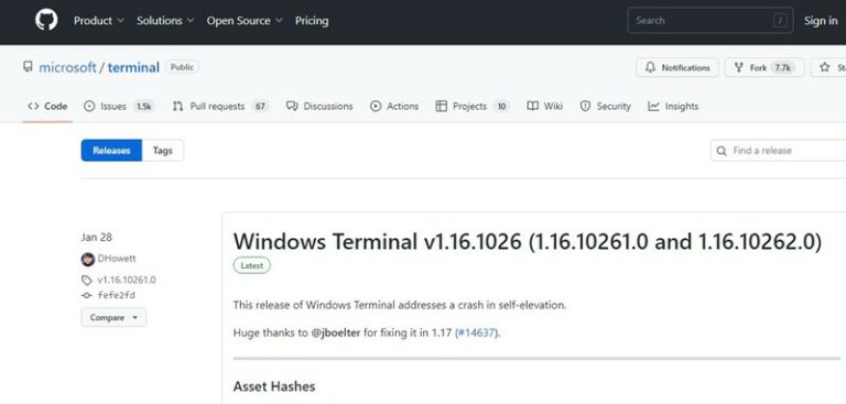 Download Windows Terminal Latest Version for Windows 10/11
