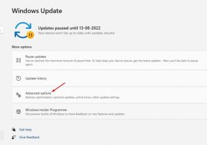 Fix 'Windows Resource Protection Could Not Perform the Requested ...