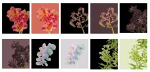 Download Google Pixel 6 Pro Wallpapers (FHD+ Resolution)