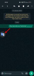 How to Translate WhatsApp Messages (4 Methods)