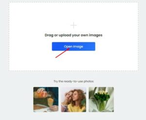 5 Best Ways to Crop a Picture into a Circle on PC