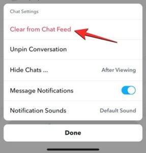 How to Remove My AI on Snapchat Chat Feed