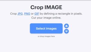 Free Online Image Cropper: 10 Best Sites to Crop Photos