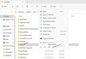 How to Fix Microsoft Edge Not Responding on Windows 11