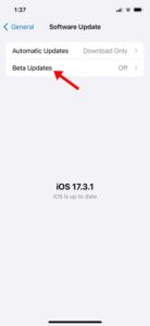 How to Download and Install iOS 17.4 Beta on iPhone