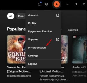 How to Start Private Session on Spotify (Desktop & Mobile)
